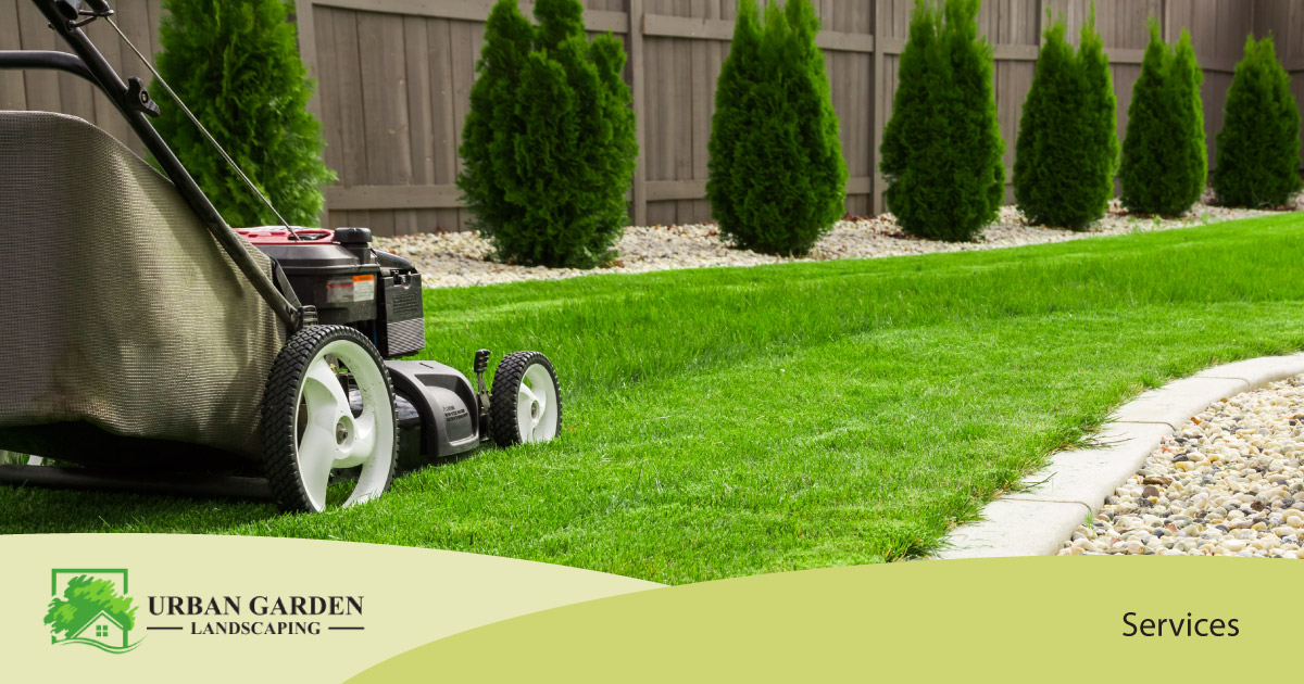 Landscape Services in Singapore - Garden Maintenance
