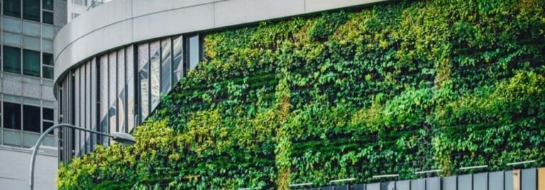 Benefits of Living Green Walls and Vertical Gardens